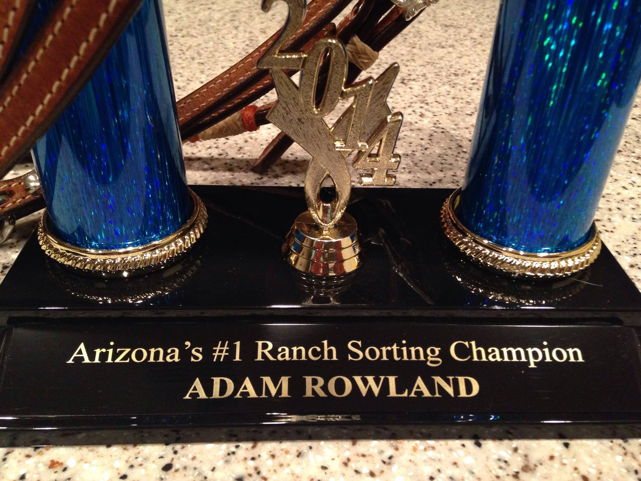 Ranch Sorting Champion 2014 - Team Veteran LLC Team Veteran LLC